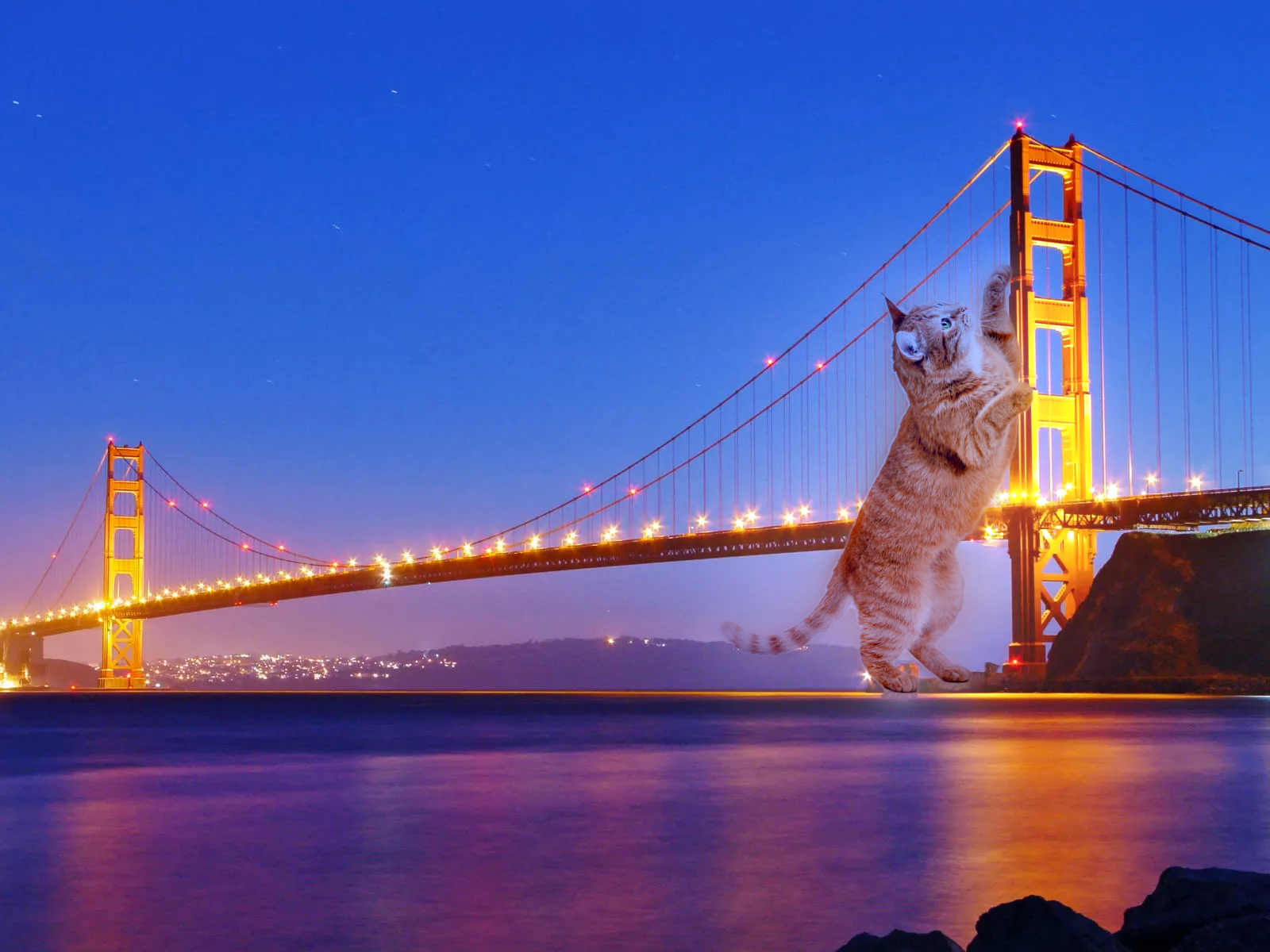 CS180 Project 2: Fun with Filters and Frequencies!